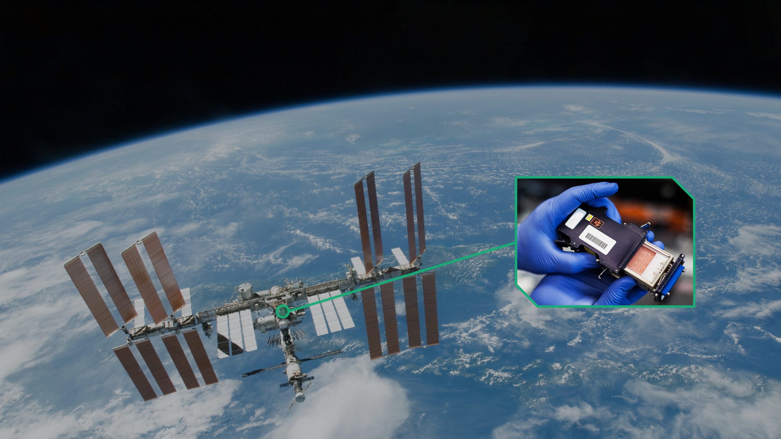 Better crystals and 3D cell culturesHow microgravity helps in drug ...